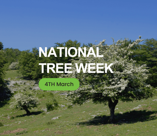 National Tree Week 2024 | OCSC